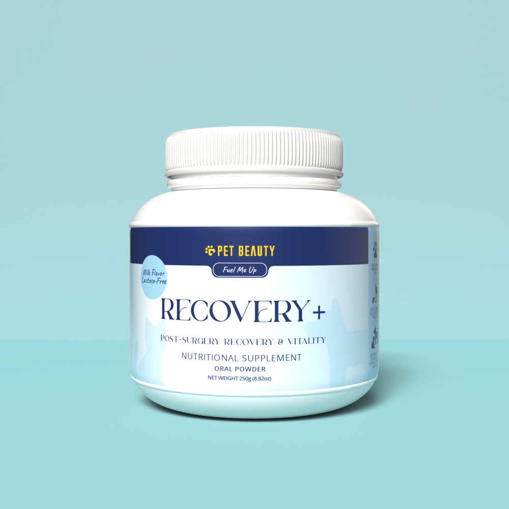 RECOVERY + Nutritional Supplement 250g